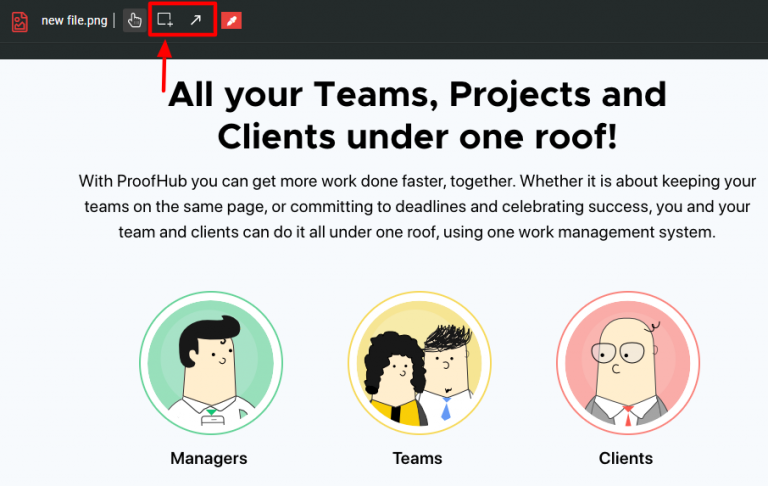 Proof And Review Files - ProofHub Help And Support