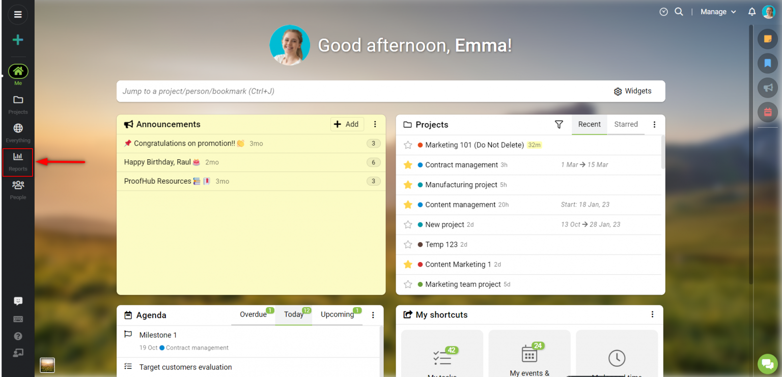 Custom Field Report - ProofHub Help